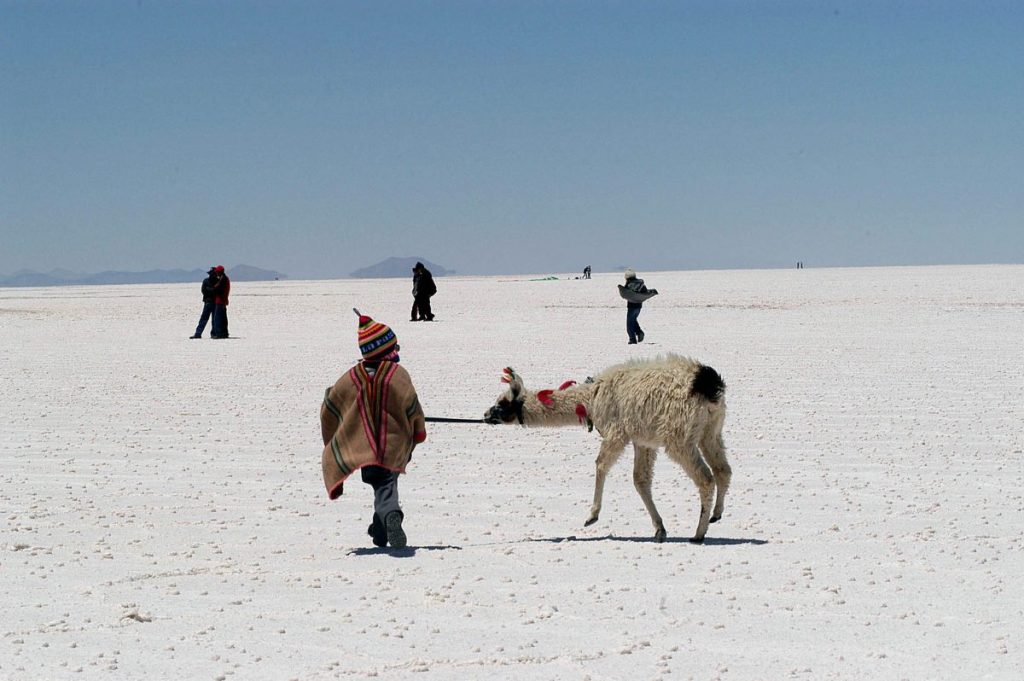 Explotación de litio en salar Uyuni (Bolivia) consigue declaración ...