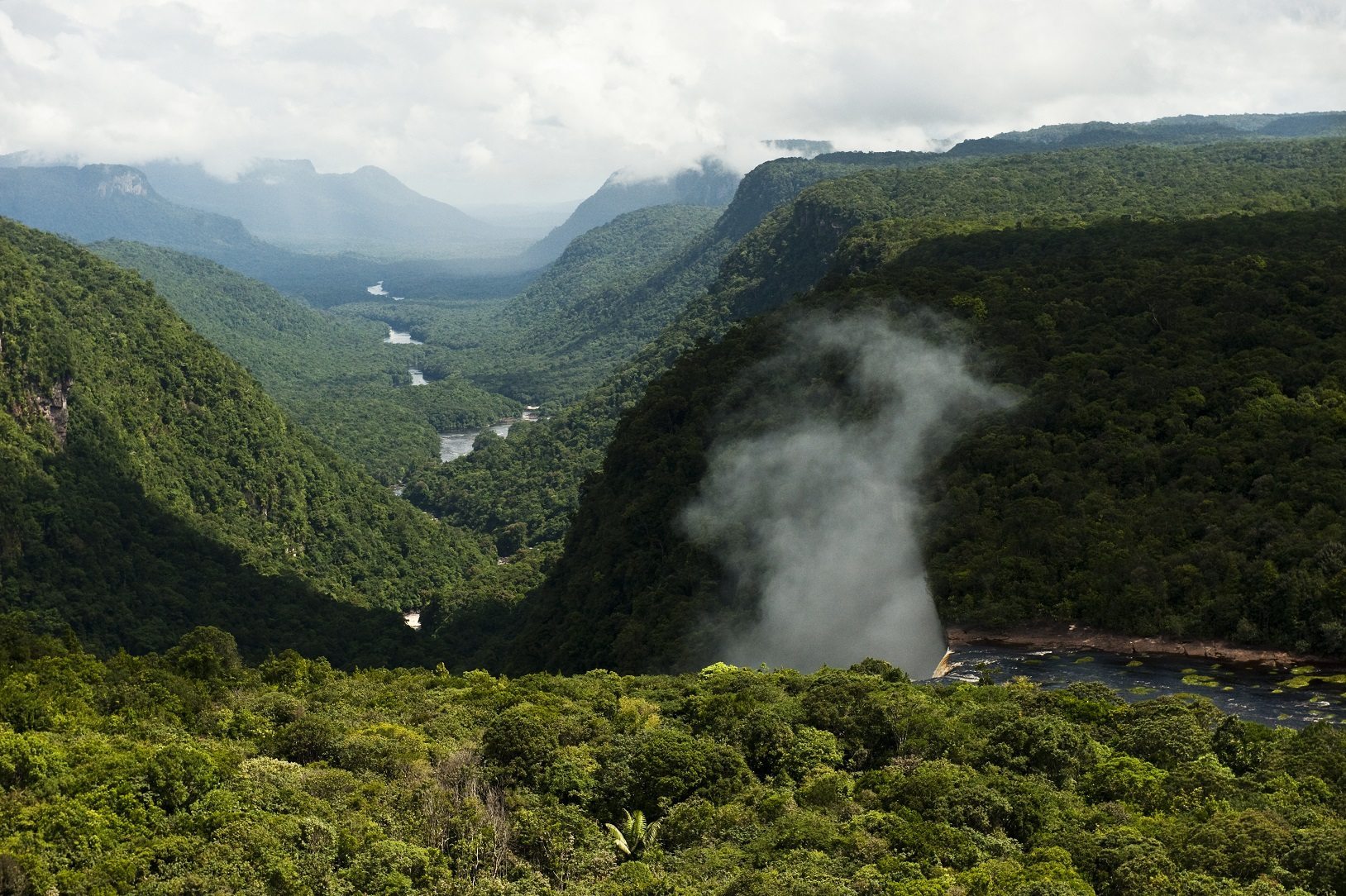 El Esequibo, la mayor disputa territorial de América - EFEverde