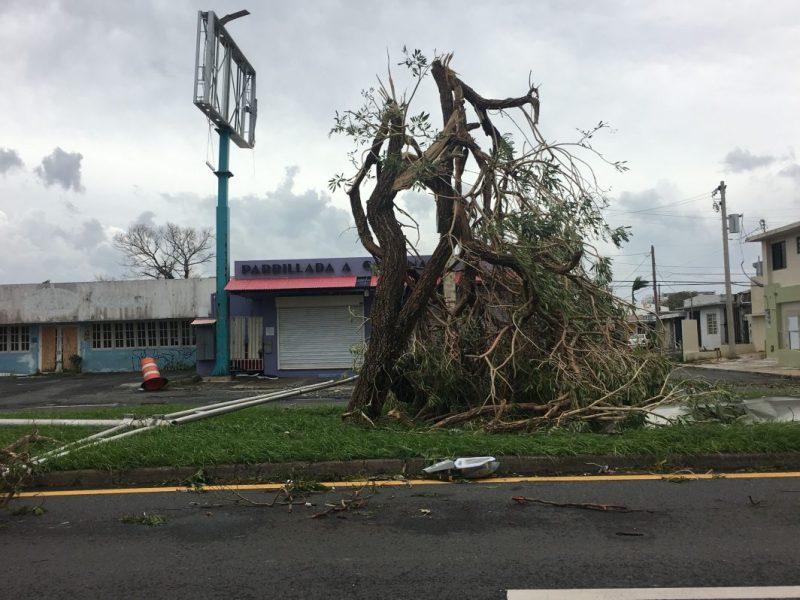 Actualizadas las cifras de muertes y destrucción del huracán María