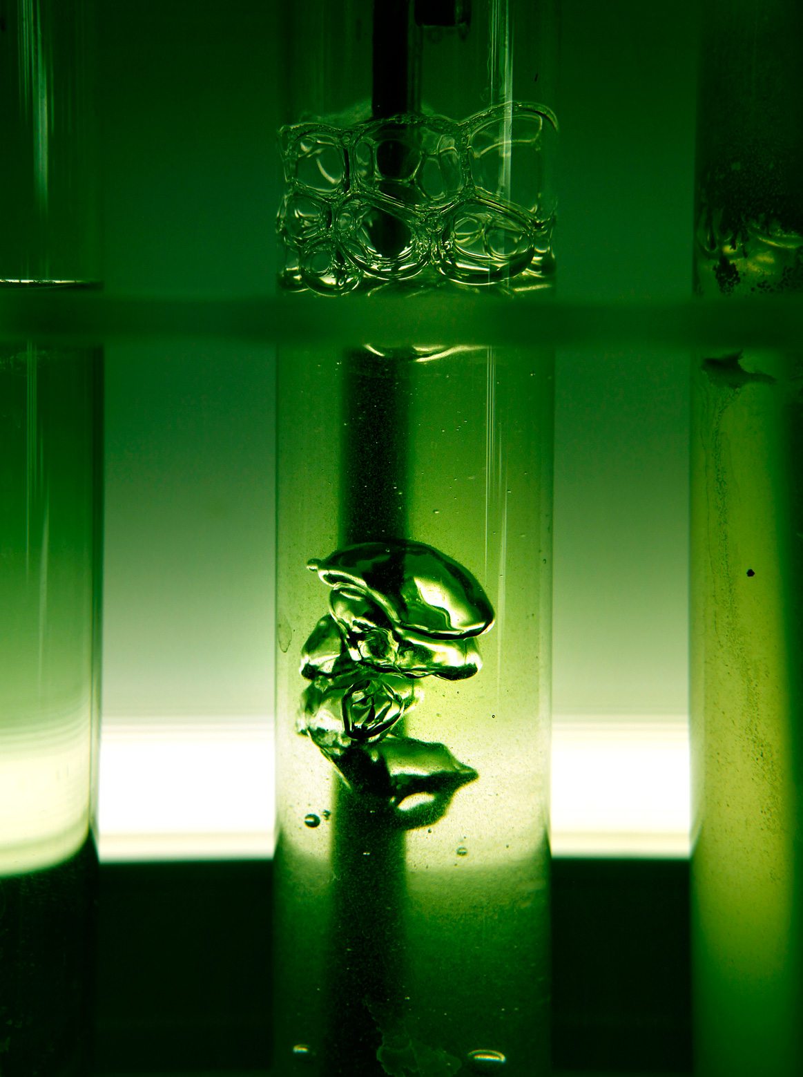 CO2, luz y microalgas para una ciudad autosuficiente y sostenible