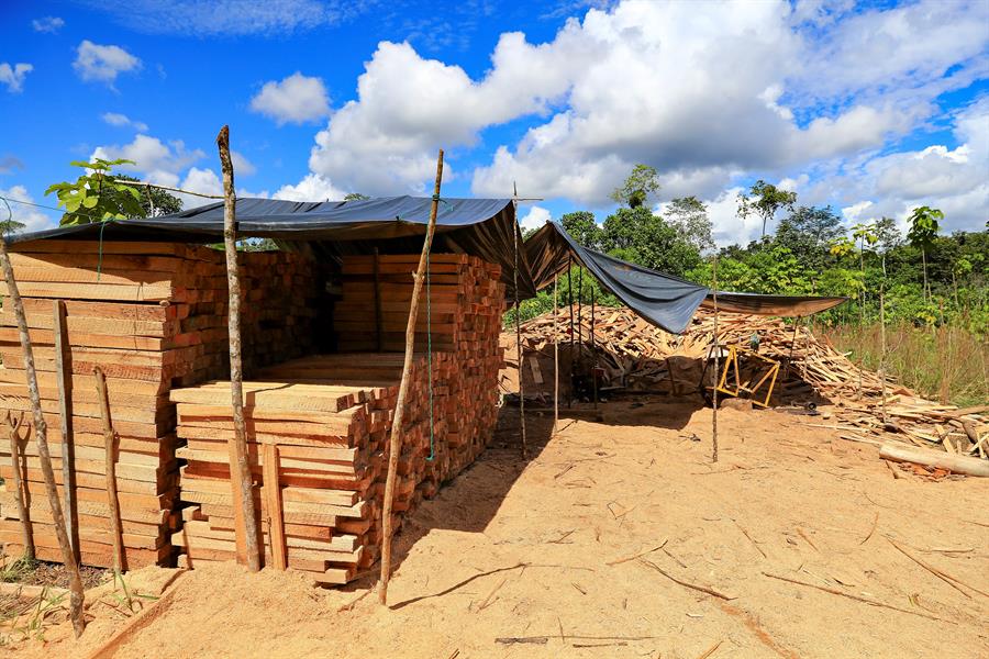 La balsa de la esperanza y de la deforestación en Ecuador