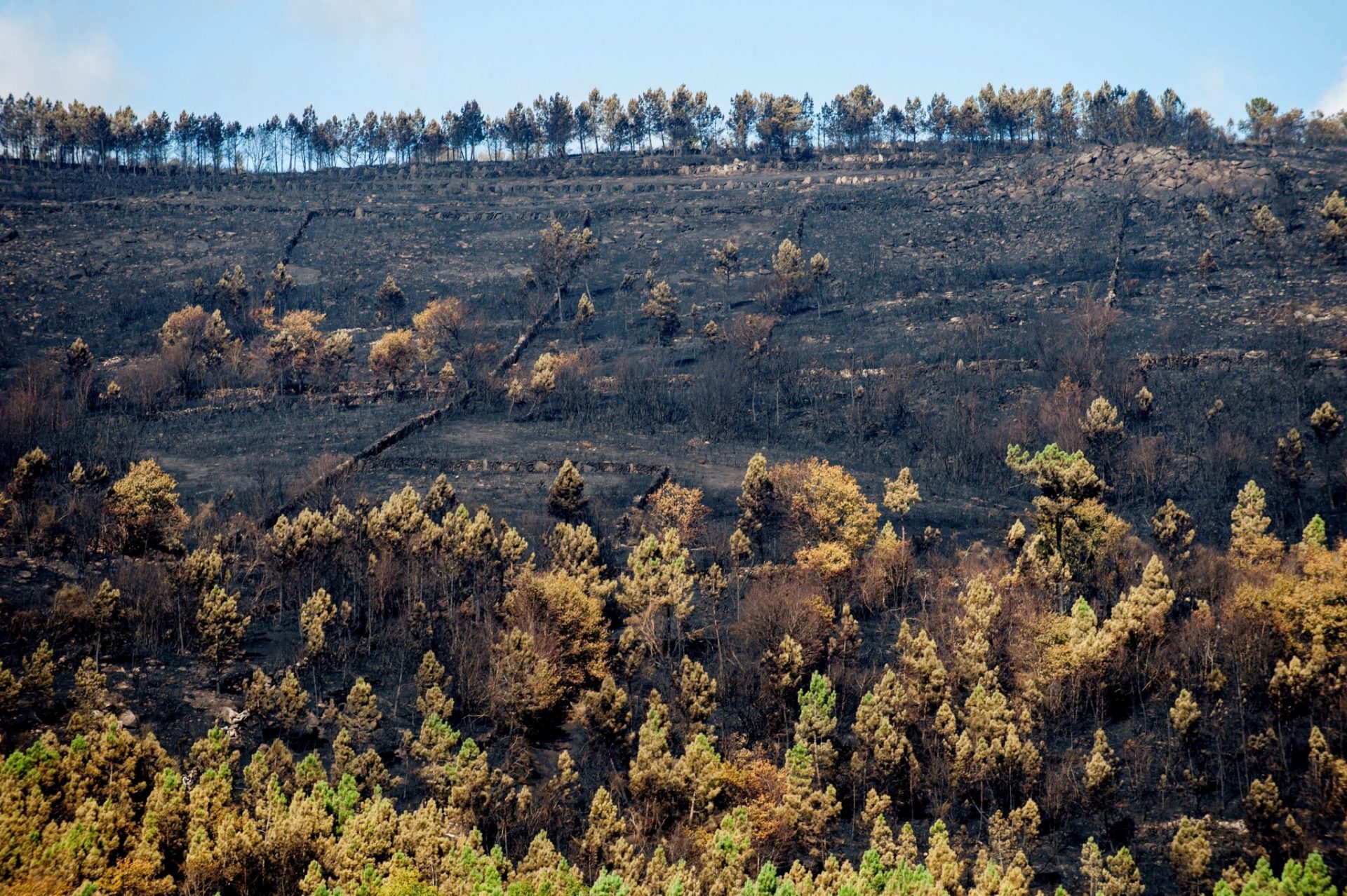 Los incendios queman en Galicia más de 11.500 hectáreas, el total de 2017