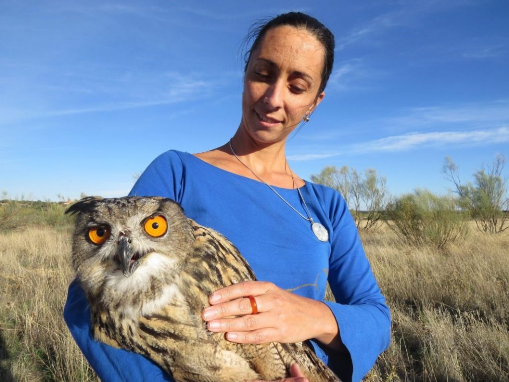 GREFA, Carlos de Hita y CLT de Tompkins, premios BBVA a conservación de ...