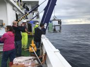 Biodiversidad El Secreto Mejor Guardado De Los Montes Submarinos De Biodiversidad El Secreto Mejor Guardado De Los Montes Submarinos De