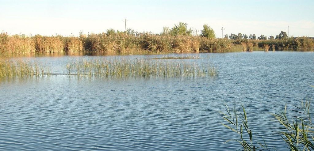 El Marjal de Almenara se incorpora a la lista RAMSAR