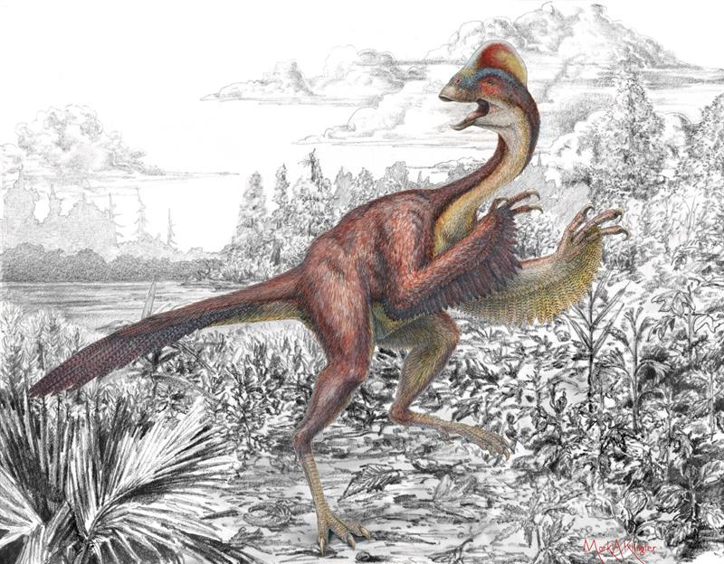 Descubiertos los restos del dinosaurio "pollo del infierno"