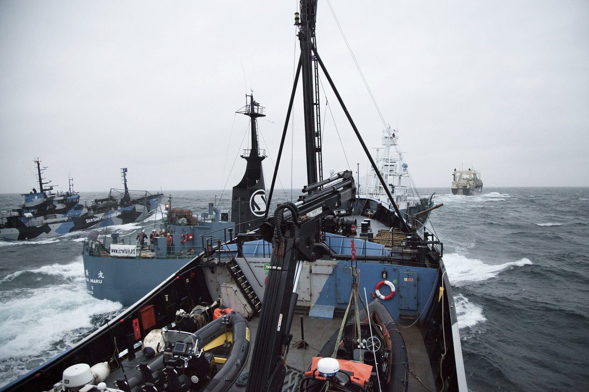 Sea Shepherd intercepta un barco que pescaba ilegalmente en la ...