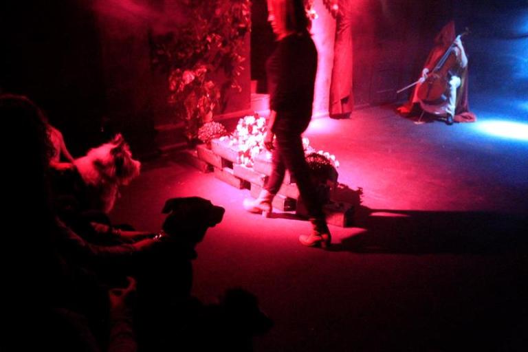 Los perros también van al teatro en Madrid