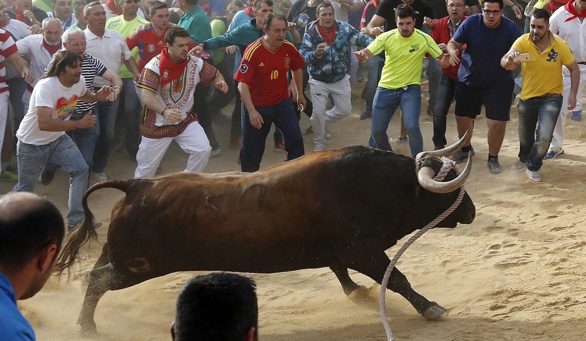 Pacma anuncia acciones legales contra el toro enmaromado de Benavente ...