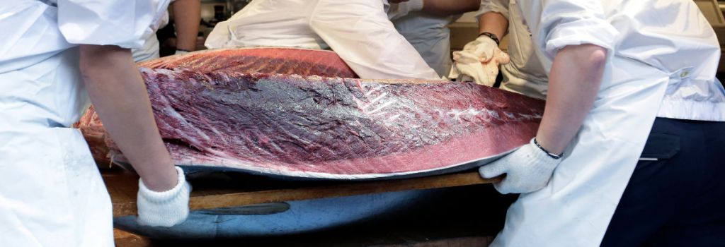 Alertan en Marbella del traslado de un cadáver que resultó ser un atún rojo