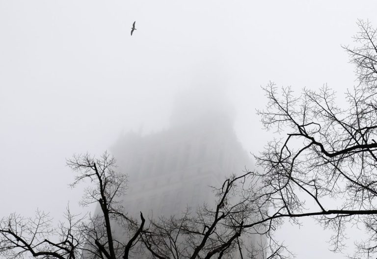 La palabra esmog, adaptación al español de smog