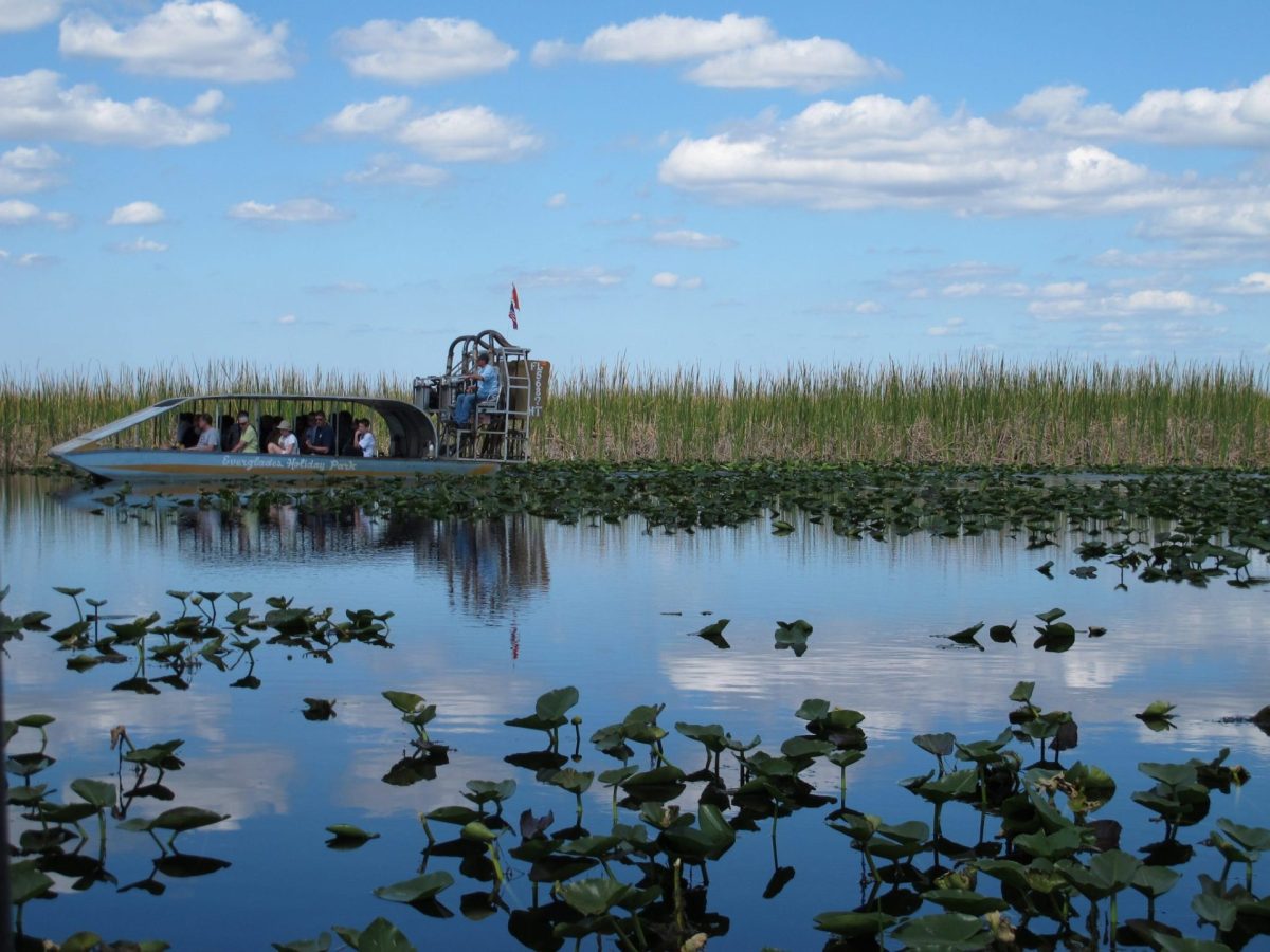 Parque Nacional de los Everglades - EFEverde