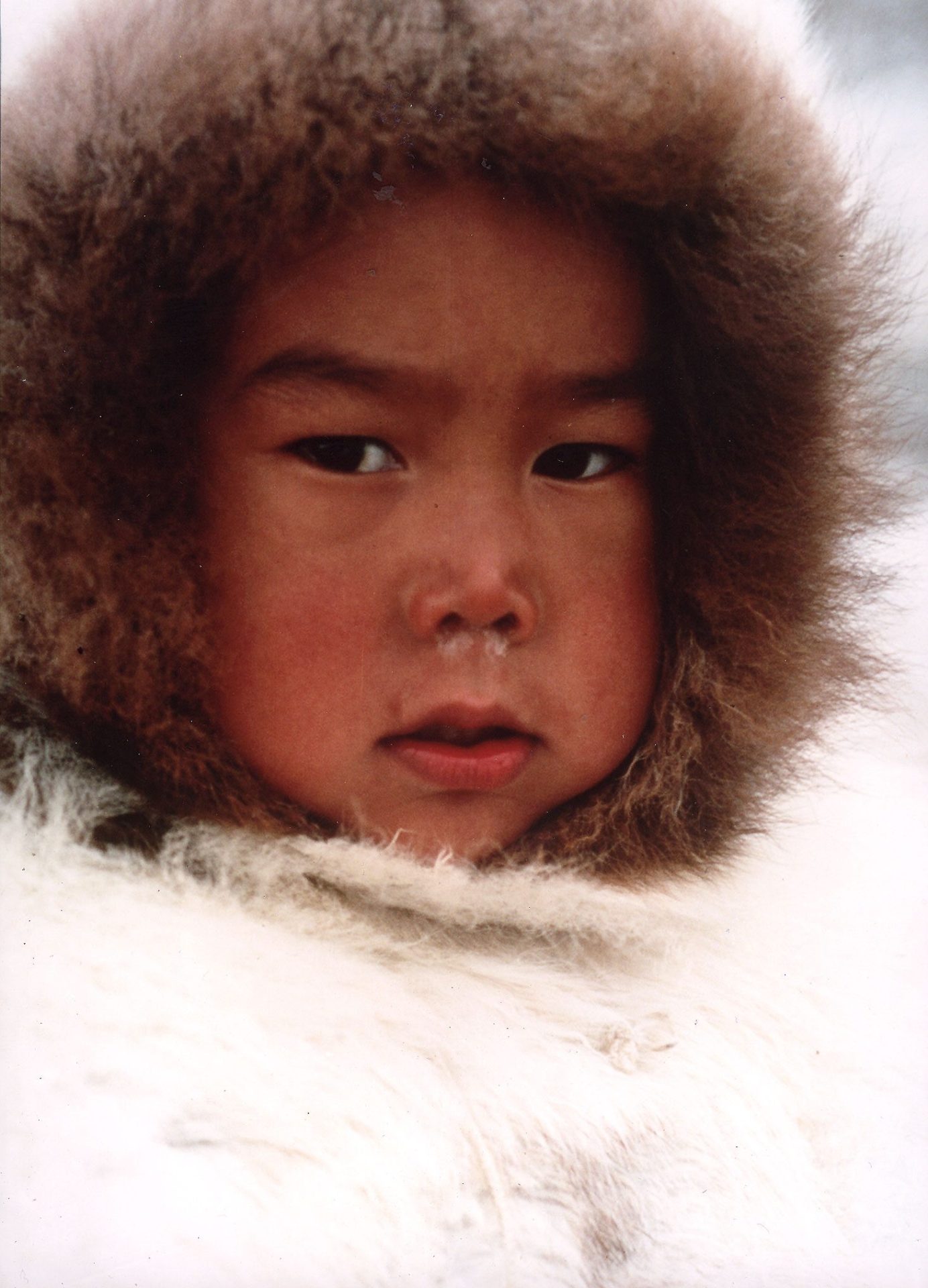 El Nobel Alternativo premia la lucha para proteger el Ártico - EFEverde