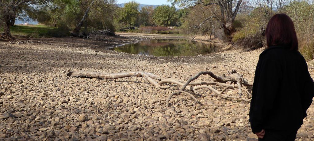 WWF alerta de que cambio climático afectará a estabilidad financiera