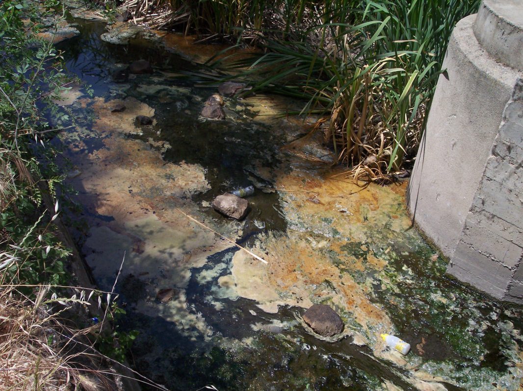 Un buen manejo de productos químicos evita la contaminación de suelos