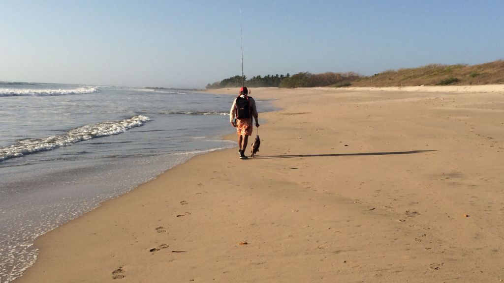 La alta mar: una brecha gigantesca en la protección del planeta