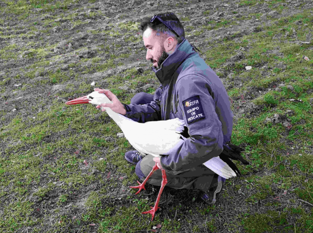 GREFA, BeGas e informe de la FAO sobre el agua en Mangas Verdes 265