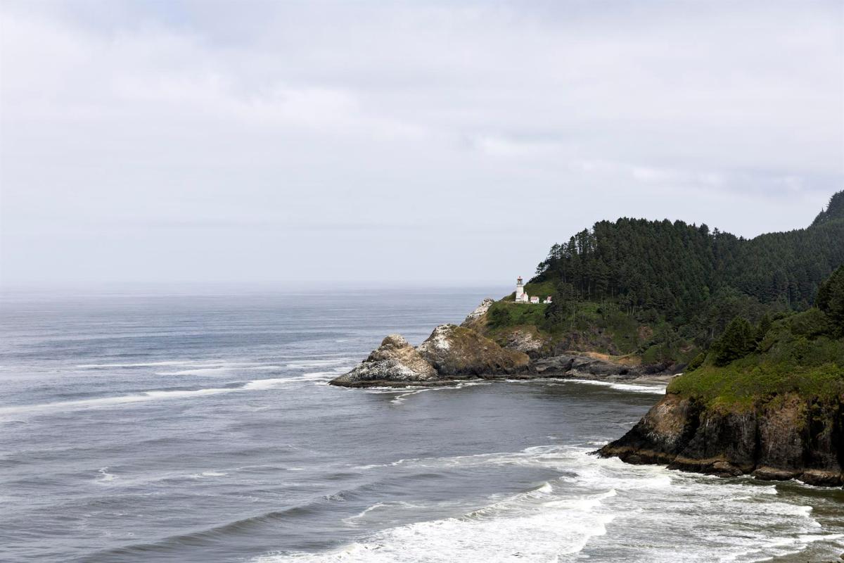 Gran consenso en Latinoamérica sobre la necesidad de proteger la alta mar