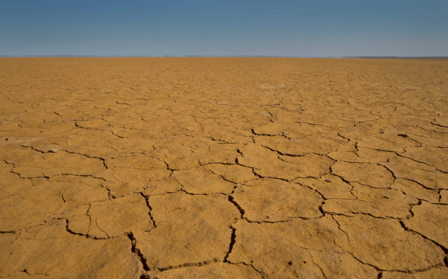 Unicef alerta del riesgo para millones de niños por la sequía en África ...