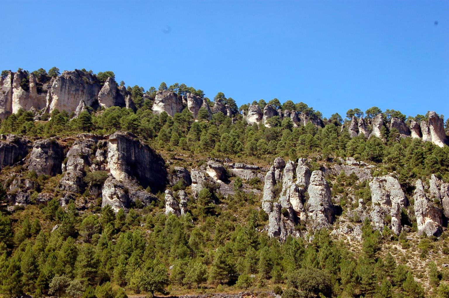 Rewilding Spain quiere recuperar ecosistemas en Cuenca, Guadalajara y ...