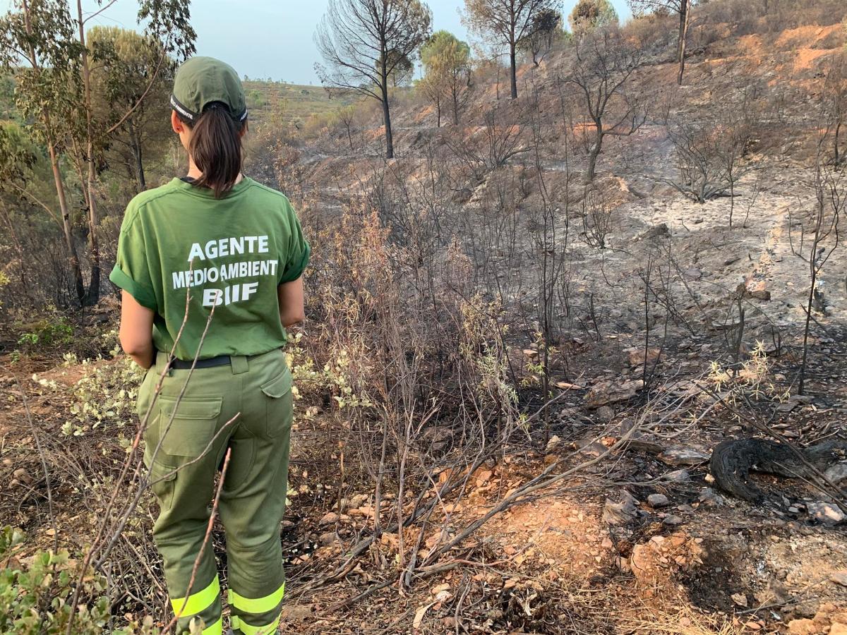 Mayor presencia de la mujer en la profesión de agente forestal