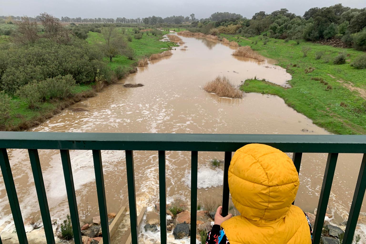 La lluvia permite al río Guadiamar aportar agua a Doñana