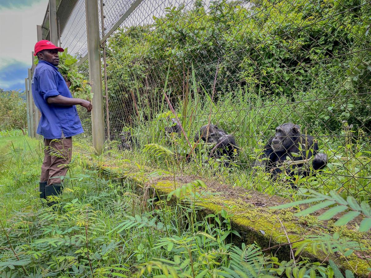 Buscan un plan de conservación para los bosques tropicales de la cuenca ...