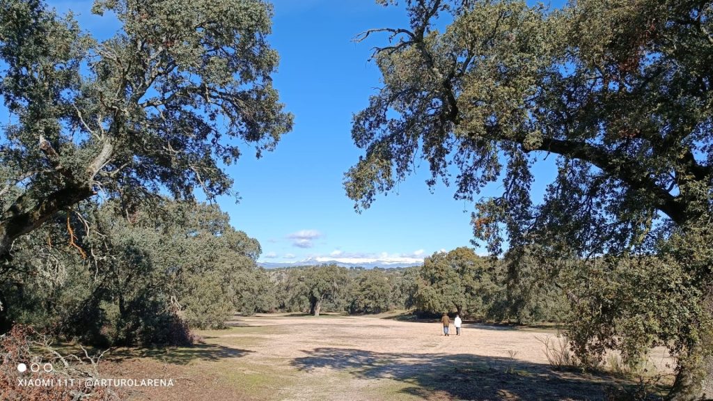 Más País pide al Gobierno convertir el monte de El Pardo (Madrid) en ...