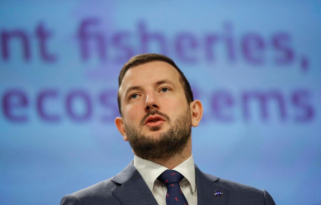 V. Sinkevicius (comisario europeo de Medioambiente) sobre la crisis del ...