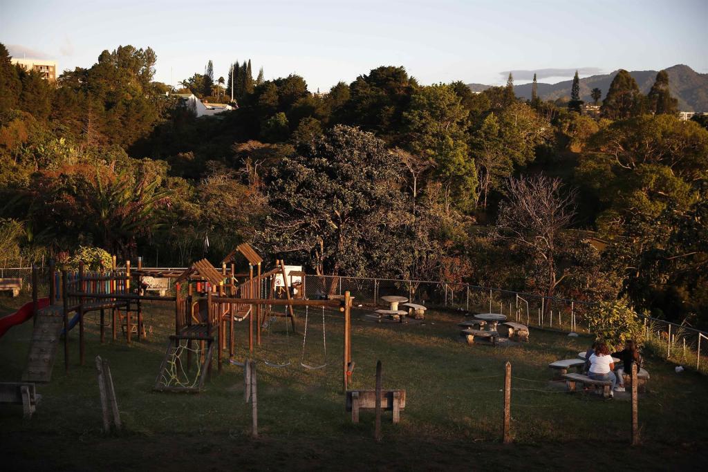 Mini bosques urbanos, una iniciativa para crear pasillos verdes biodiversos