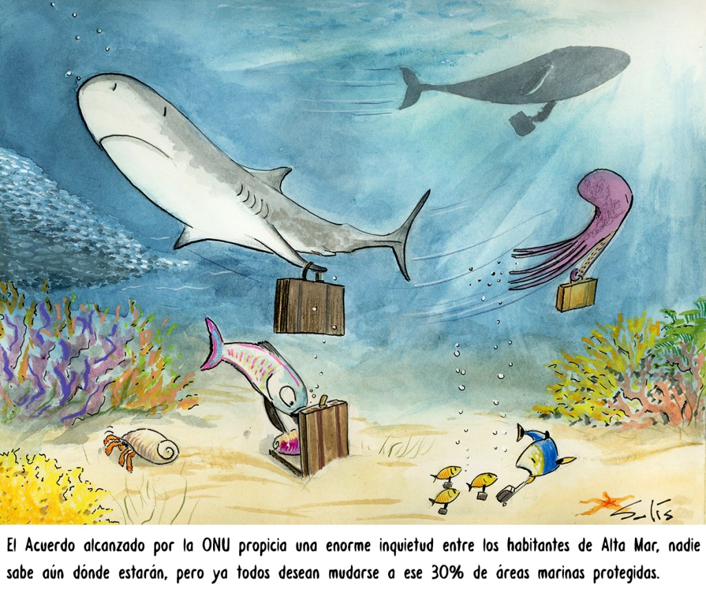 Acuerdo sobre la alta mar. Por (*) Víctor Solís (@Visoor) - EFEverde