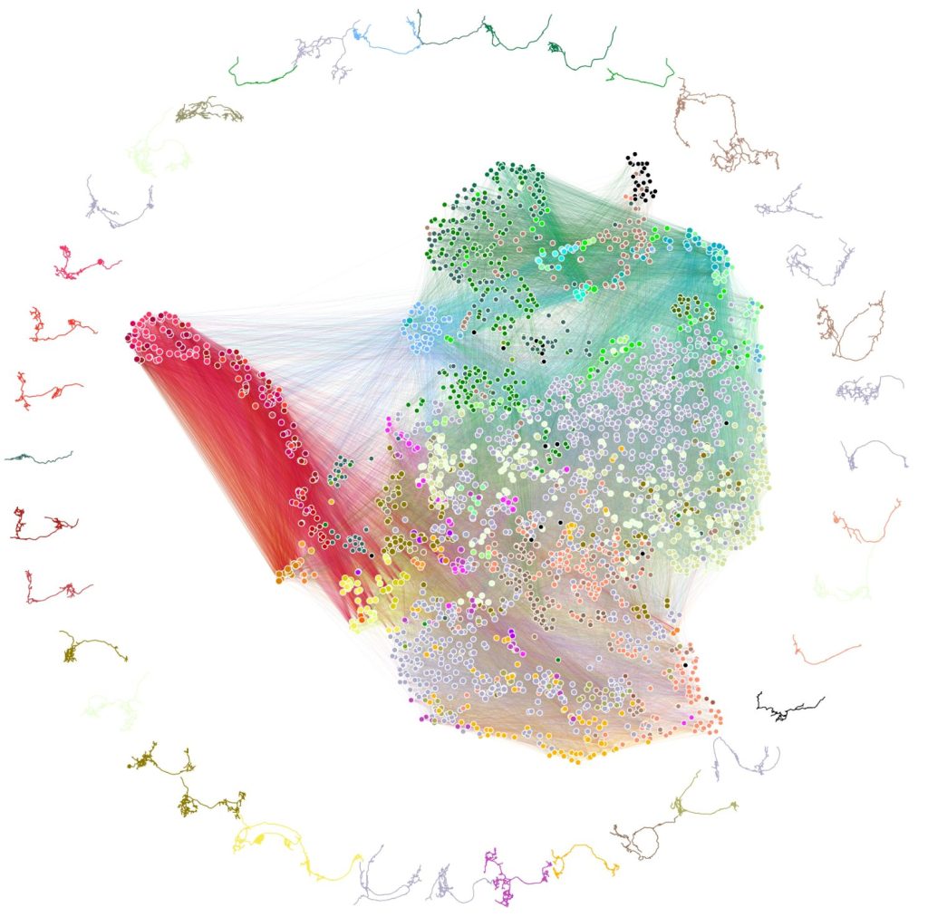 Completan el primer mapa cerebral de un insecto