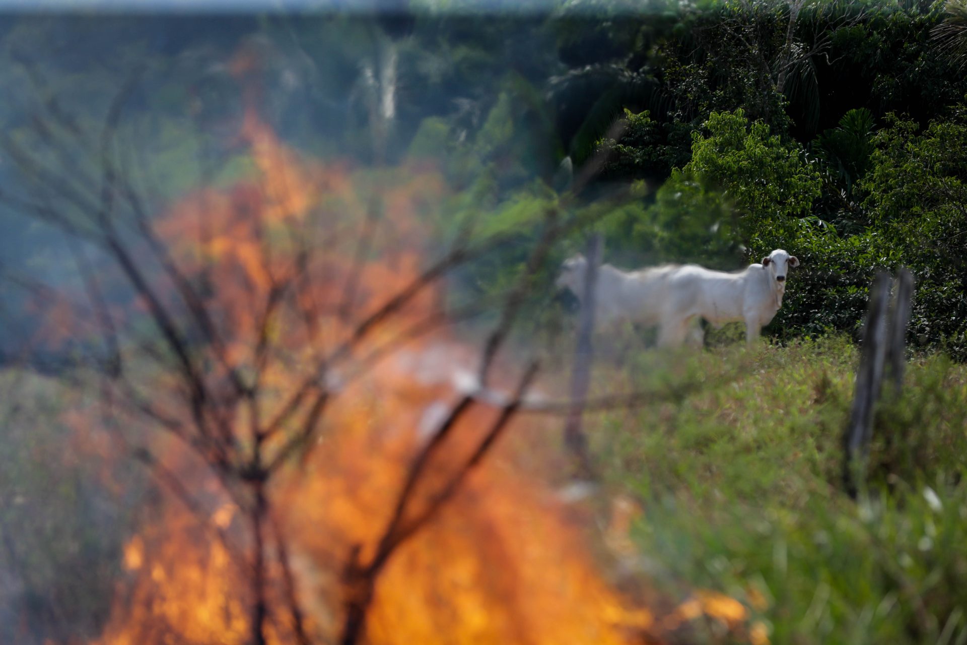 OMM: Las olas de calor e incendios marcaron la crisis climática en ...