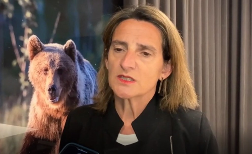 Teresa Ribera: "No hay conspiración contra Moreno, sino la tozuda realidad"