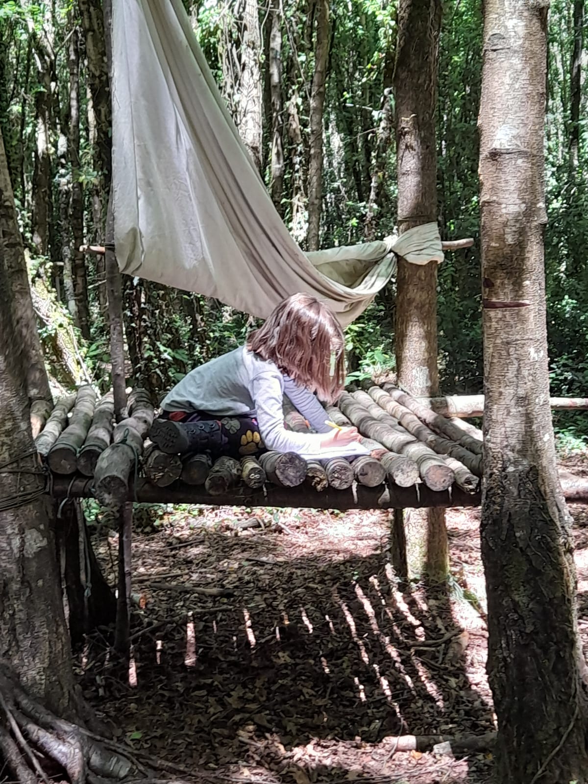 Las escuelas bosque reclaman su espacio en el sistema educativo reglado ...
