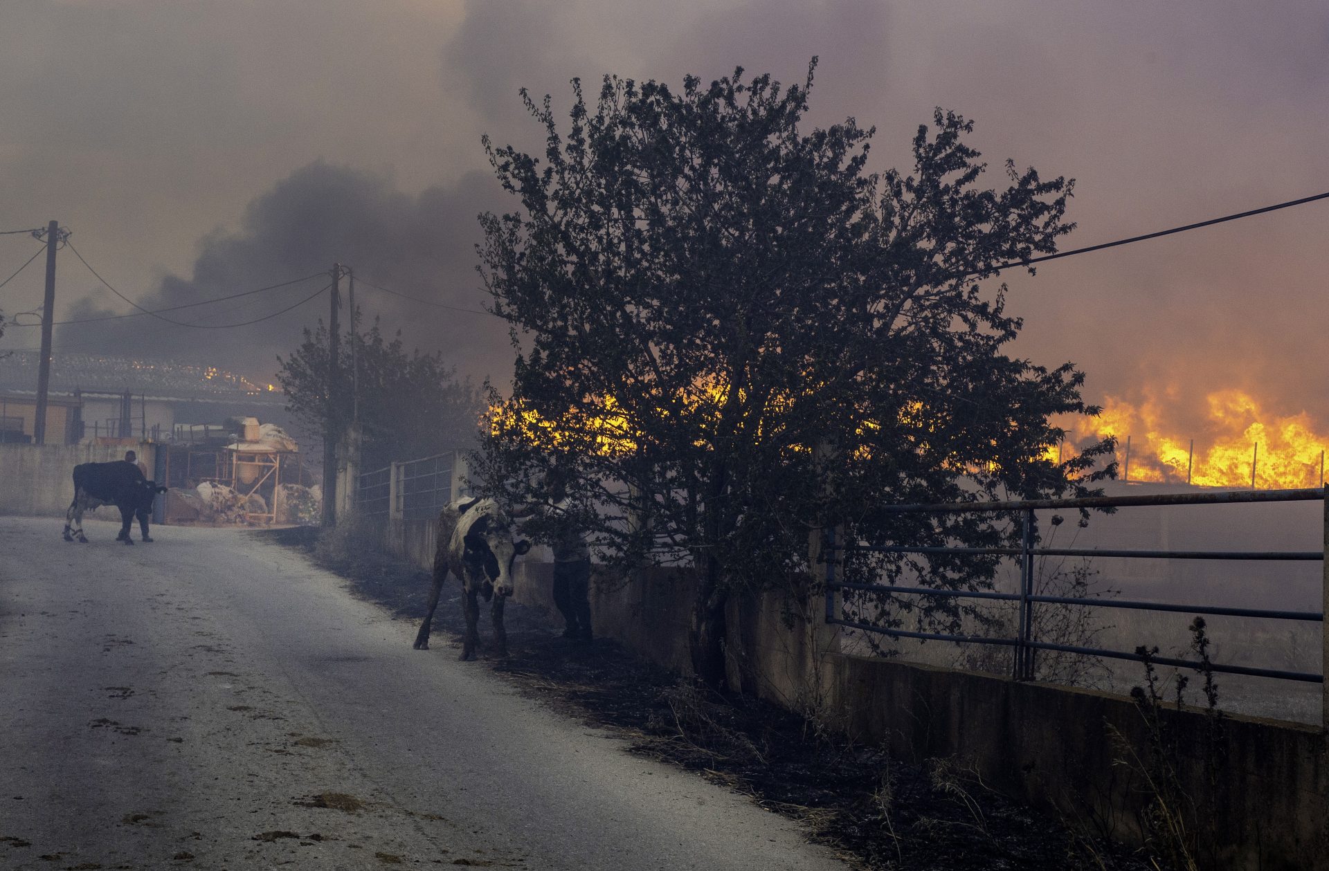 Italia y Grecia son los países más afectados del sur de Europa por los ...