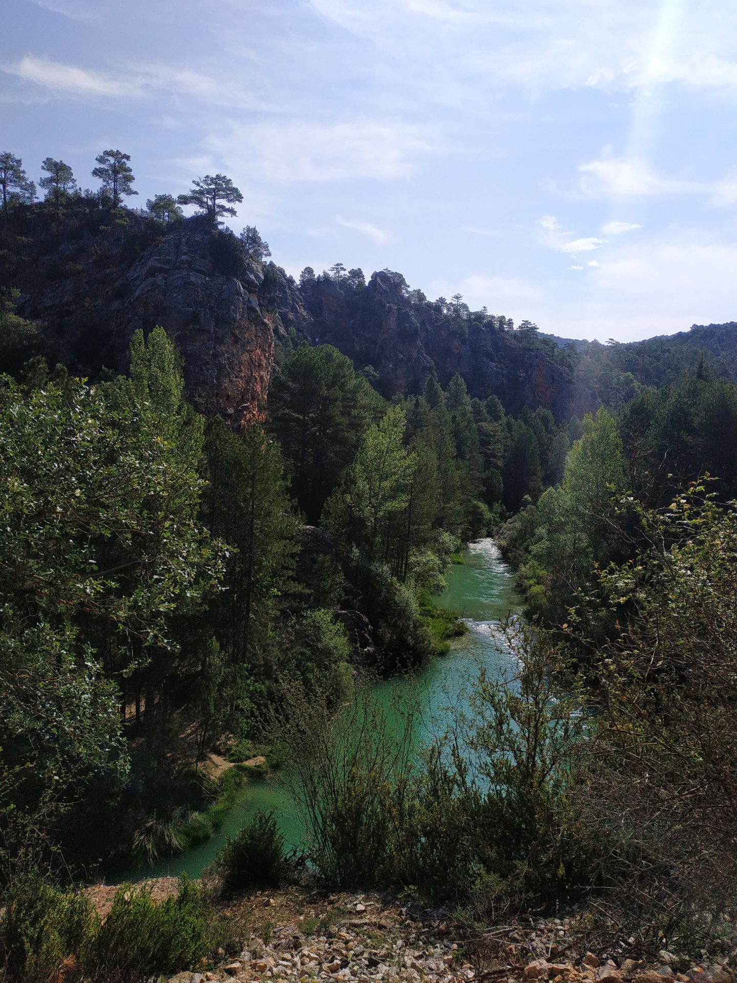 El Alto Tajo, un espacio con gran diversidad de hábitats, biodiversidad ...