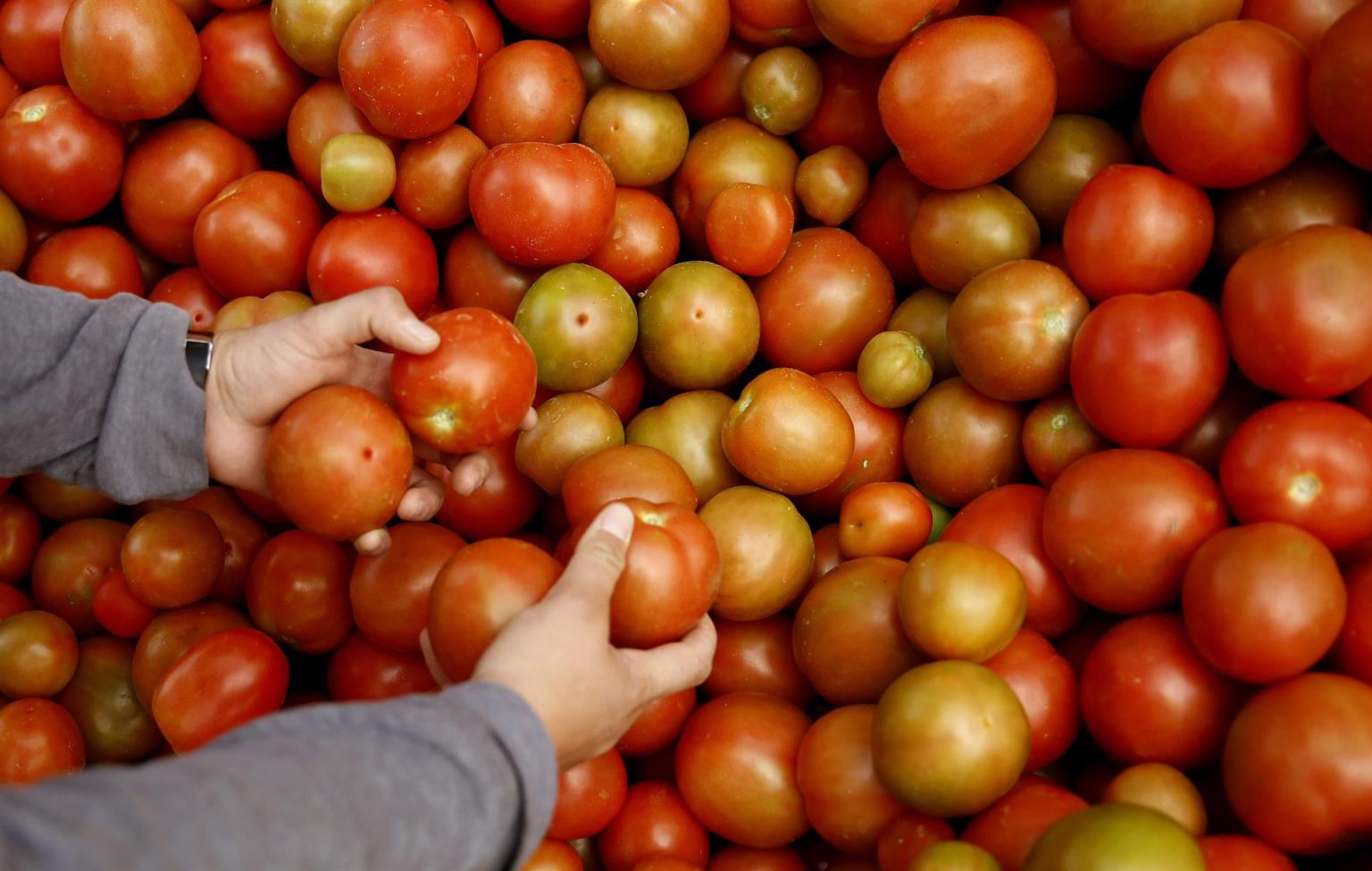 Los desastres están trastornando la agricultura. Por José Alejandro ...