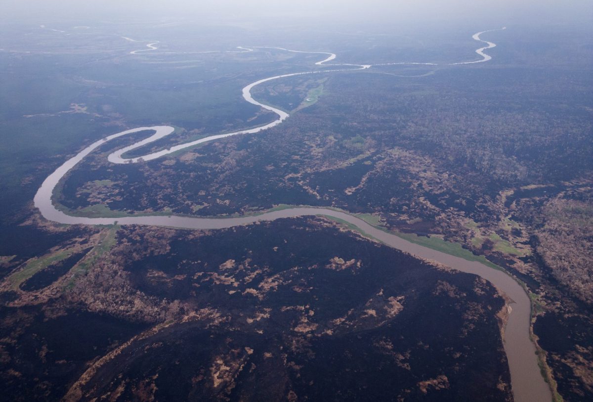 Los incendios forestales en Brasil destruyeron más de 17 millones de ...