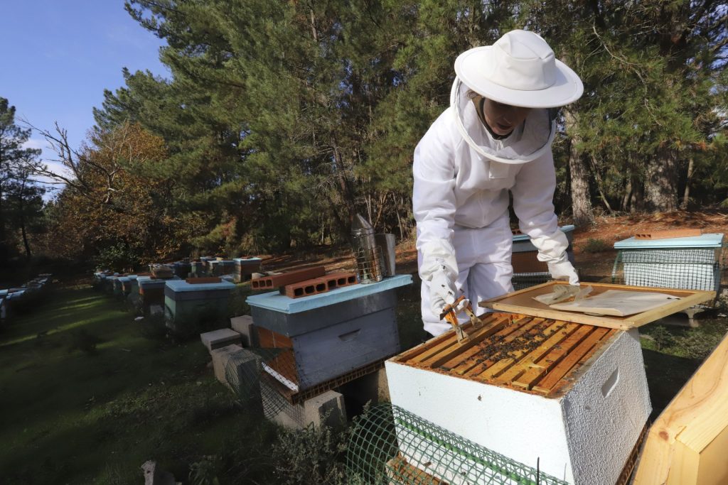 Llega a León el proyecto para "repoblar" España con 47 millones de ...