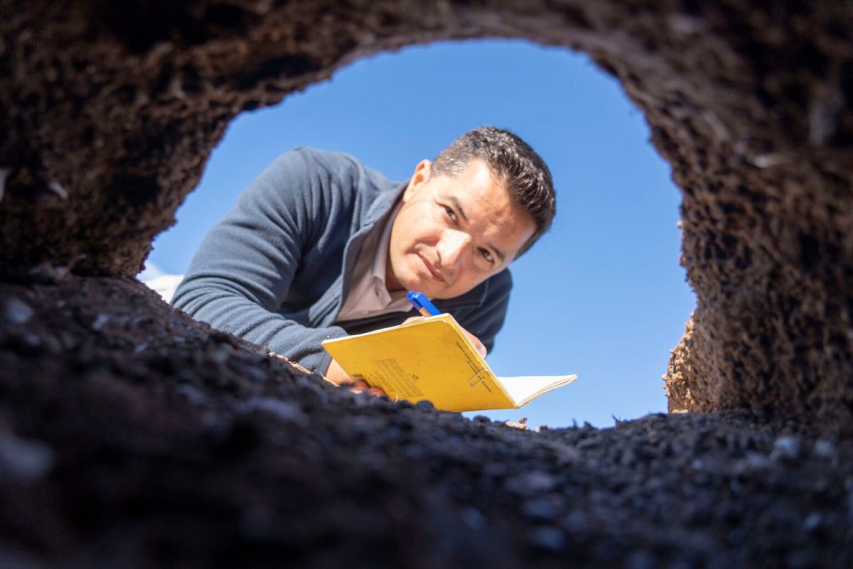 Pablo García Borboroglu: los pingüinos son animales tenaces ...