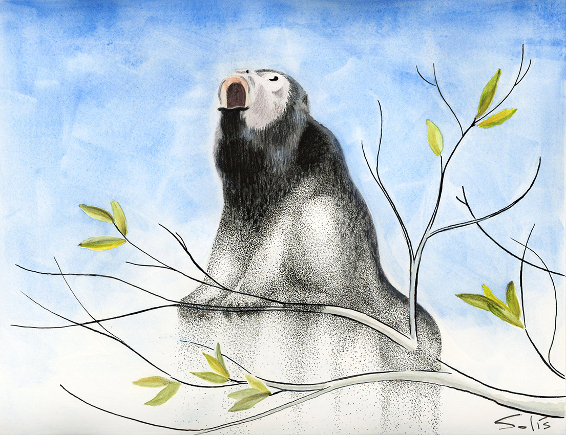 Ola de calor en México. Por @visoor - EFEverde