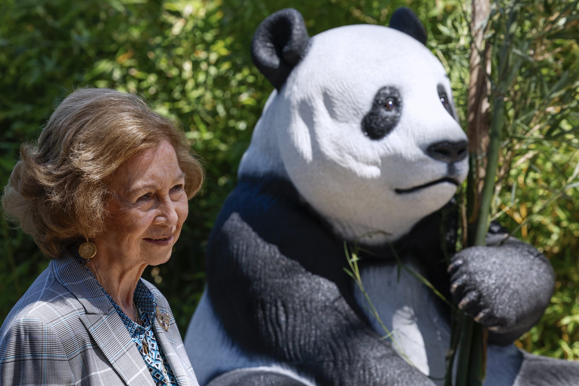 La reina Sofía presenta a la nueva pareja de pandas del Zoo de Madrid