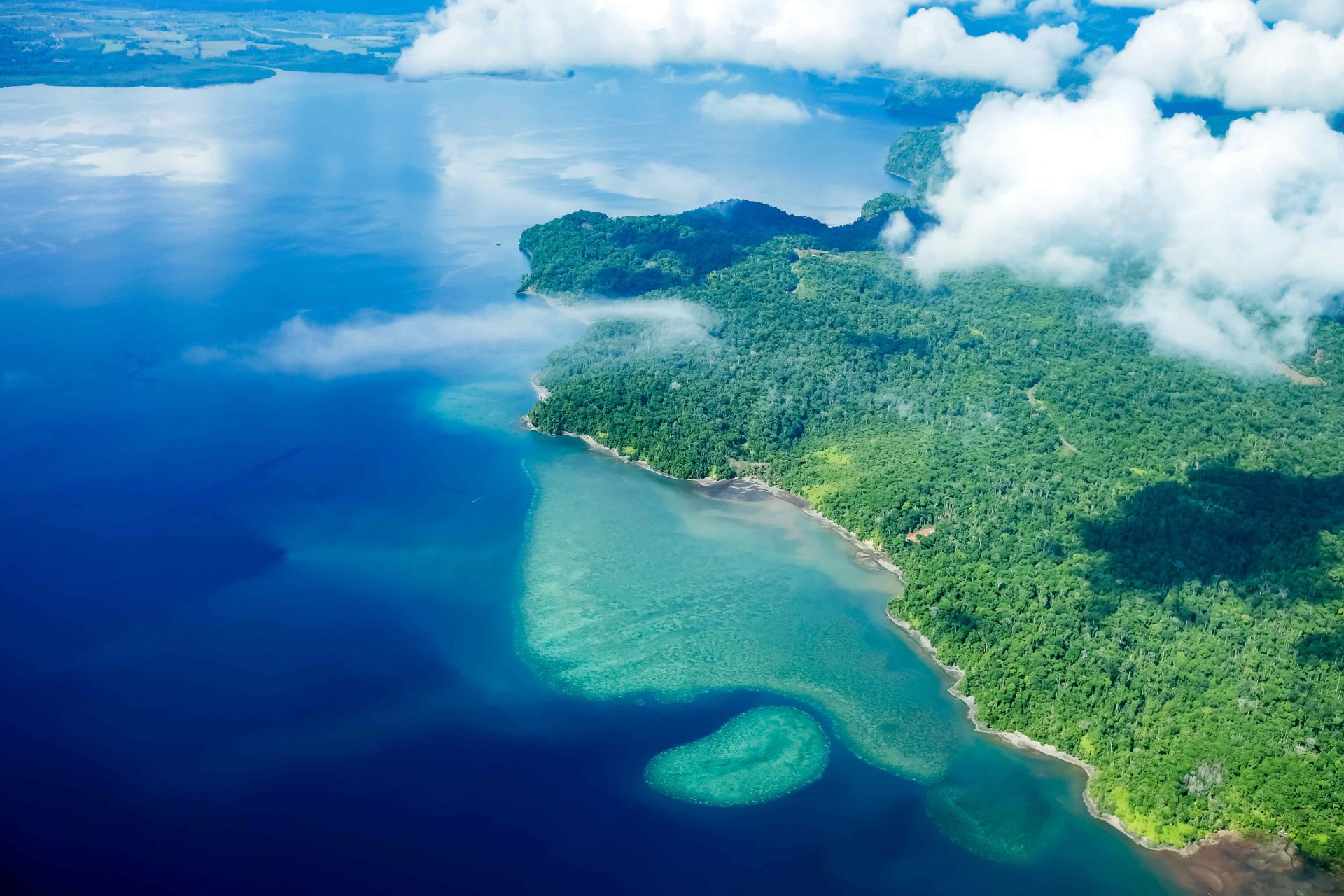 Solo 7 países han ratificado el Tratado de Alta Mar sobre biodiversidad