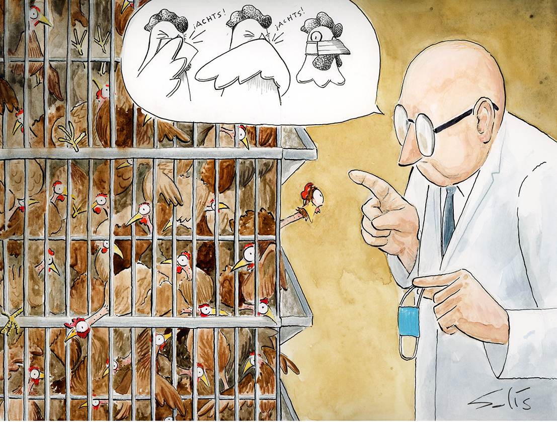 Gripe aviar (Ante todo prevención). Por (*) Víctor Solís (@Visoor ...