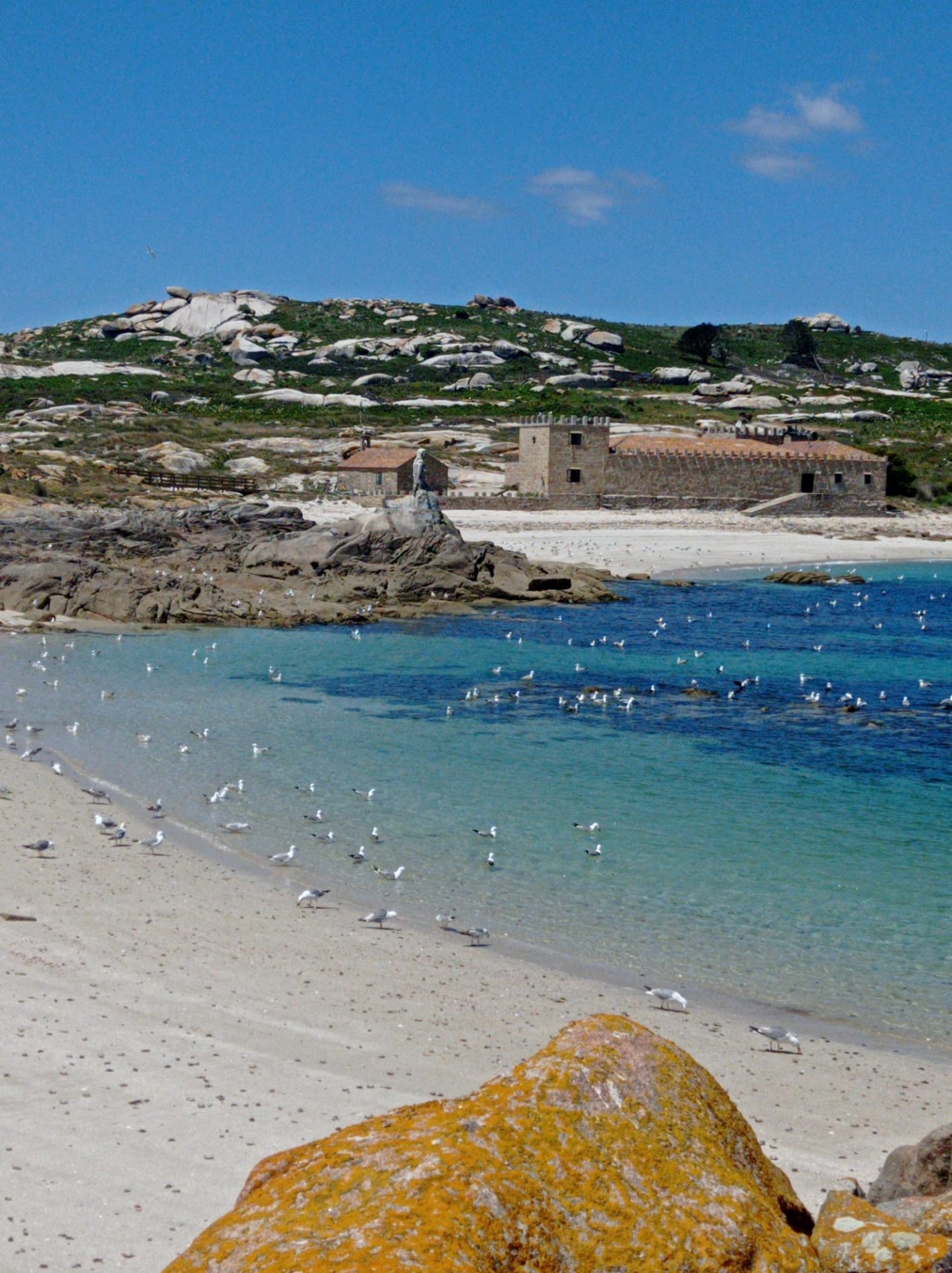 Espectáculo natural en Galicia: miles de cangrejos se concentran en el ...
