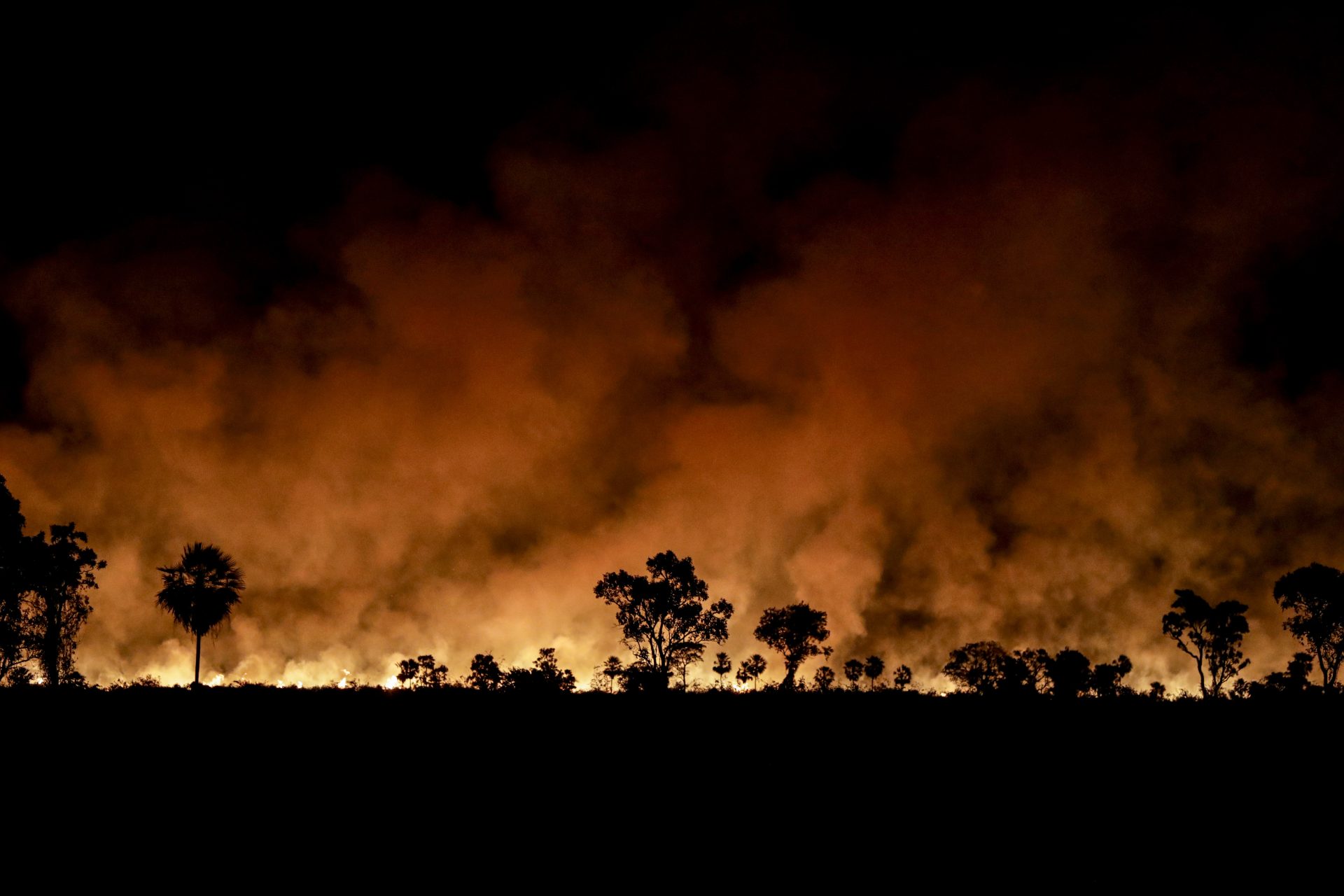 El área destruida por los incendios forestales en Brasil subió un 90 % ...
