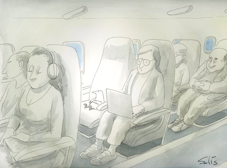 Aves migratorias. Por Víctor Solís (@Visoor) - EFEverde