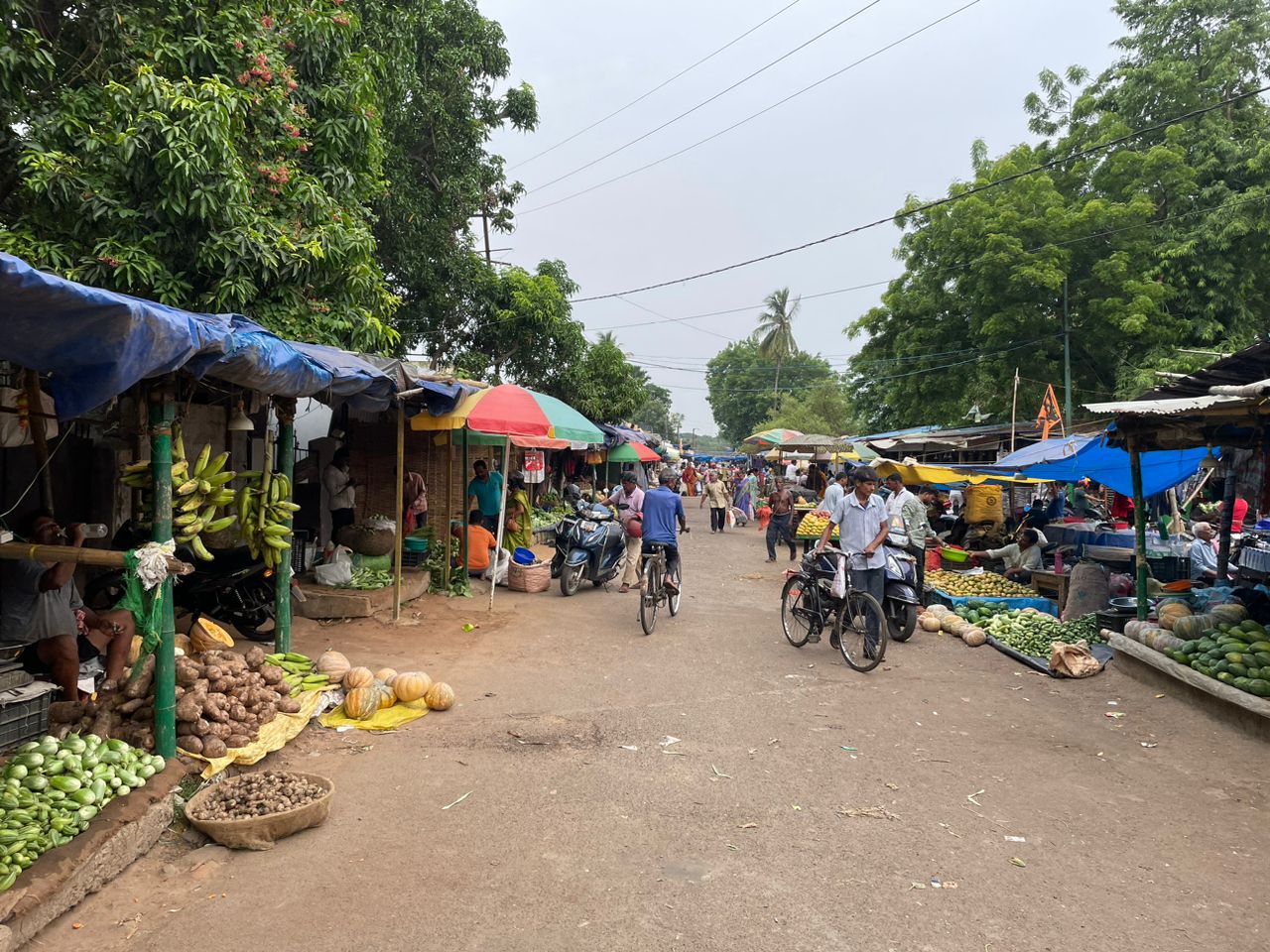 Crónica de un recorrido por los mercados de alimentos en India. Andrés ...