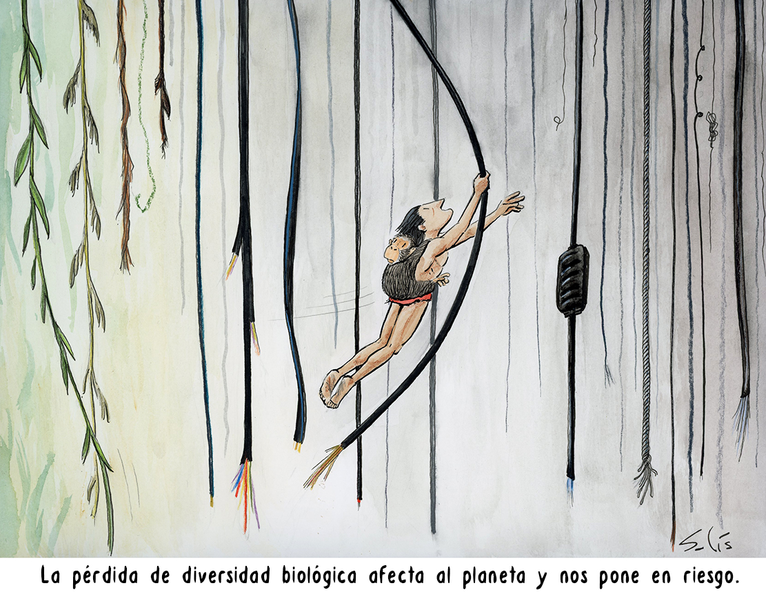 Salto... tecnológico (Día de la -perdida- de biodiversidad). Por Víctor ...